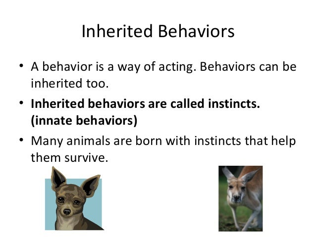 Inherited traits-and-learned-behaviors