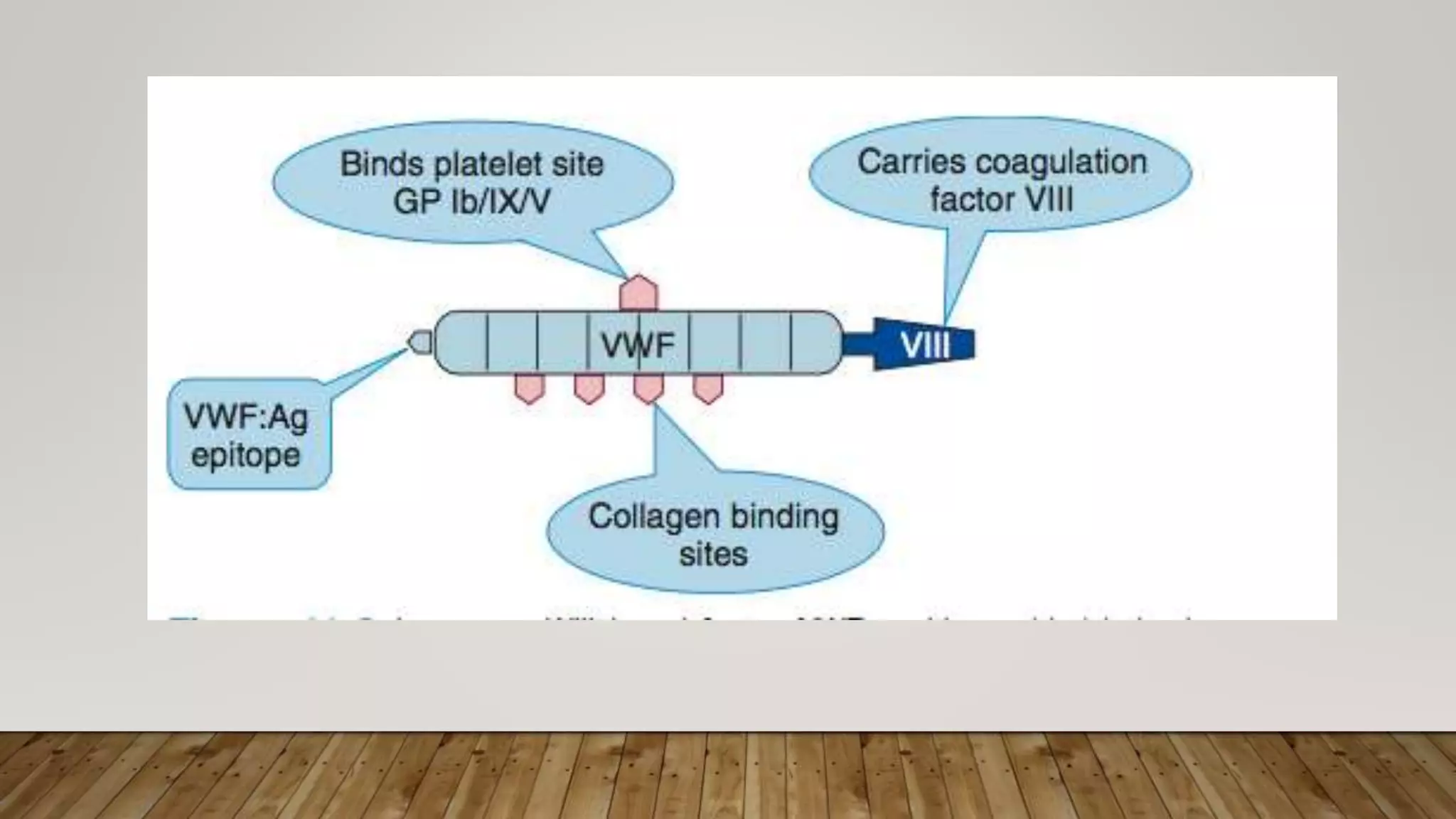 Inherited bleeding disorders | PPTX