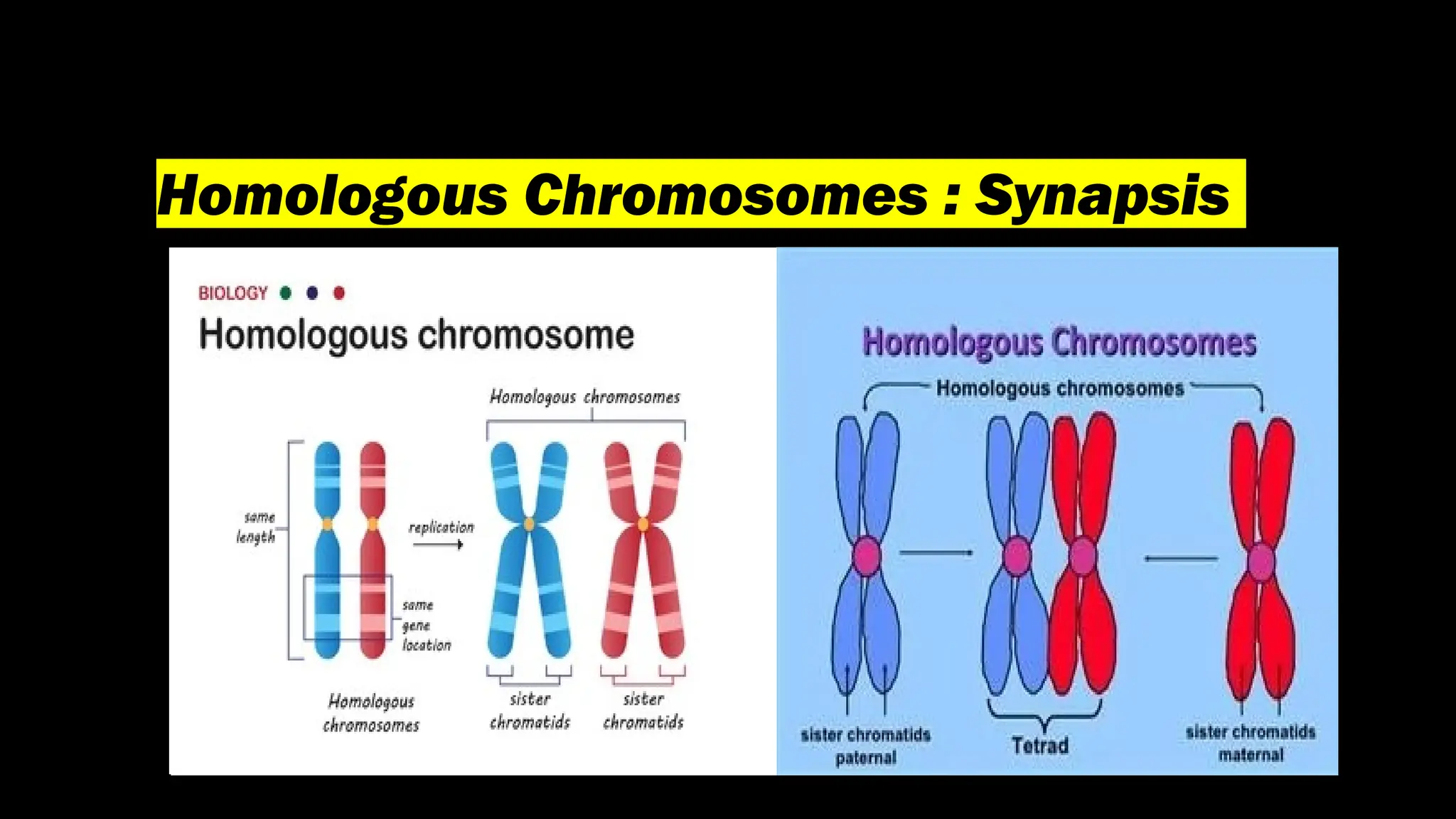 Inherited Change and DNA Structure. pptx | PPTX