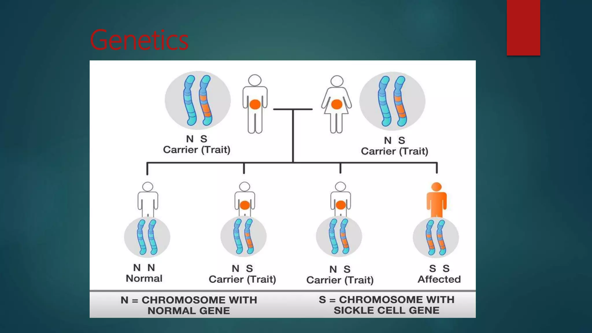 Inherited Diseases | PPTX