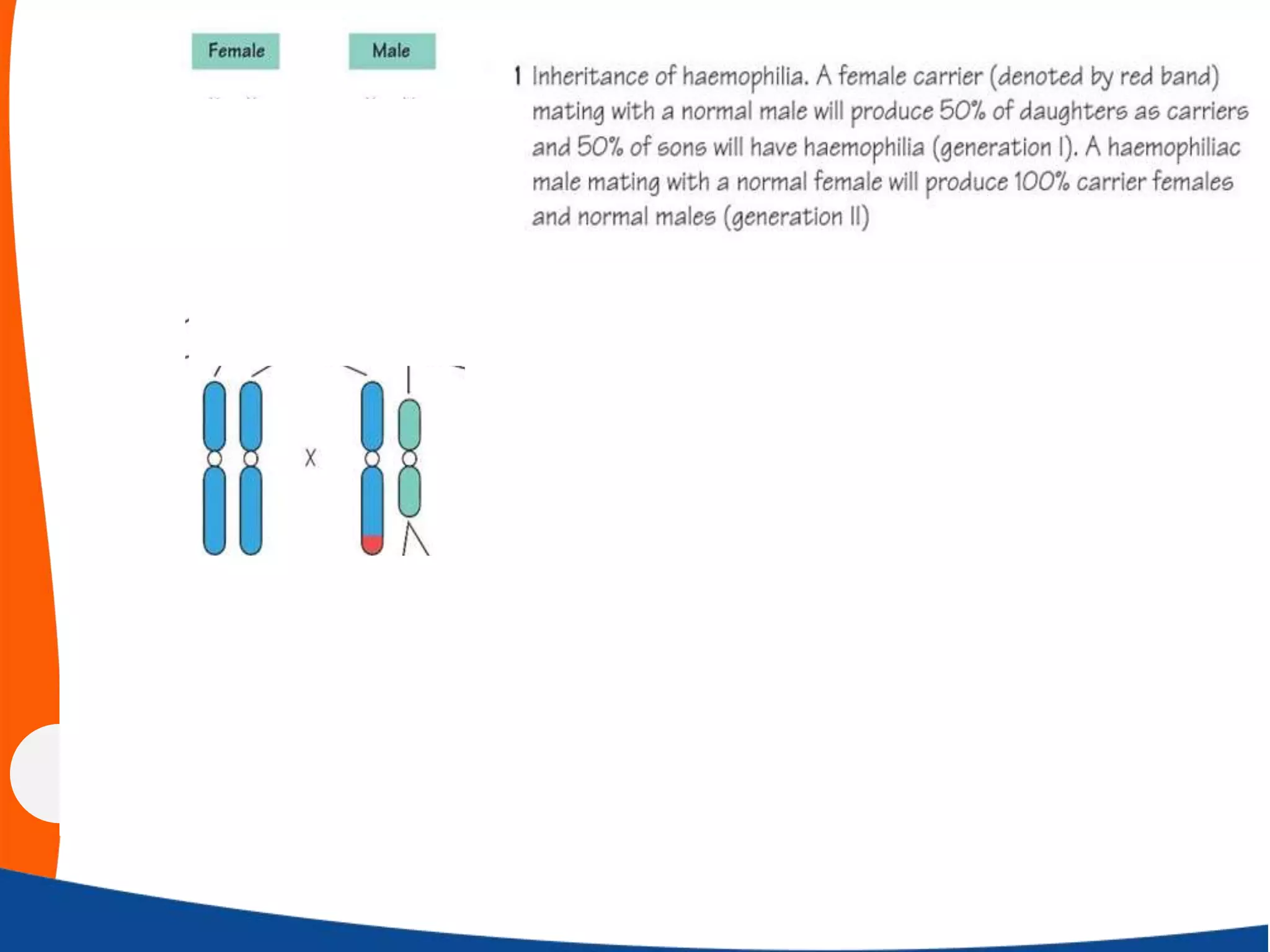 Inherited disorders of coagulation | PPTX