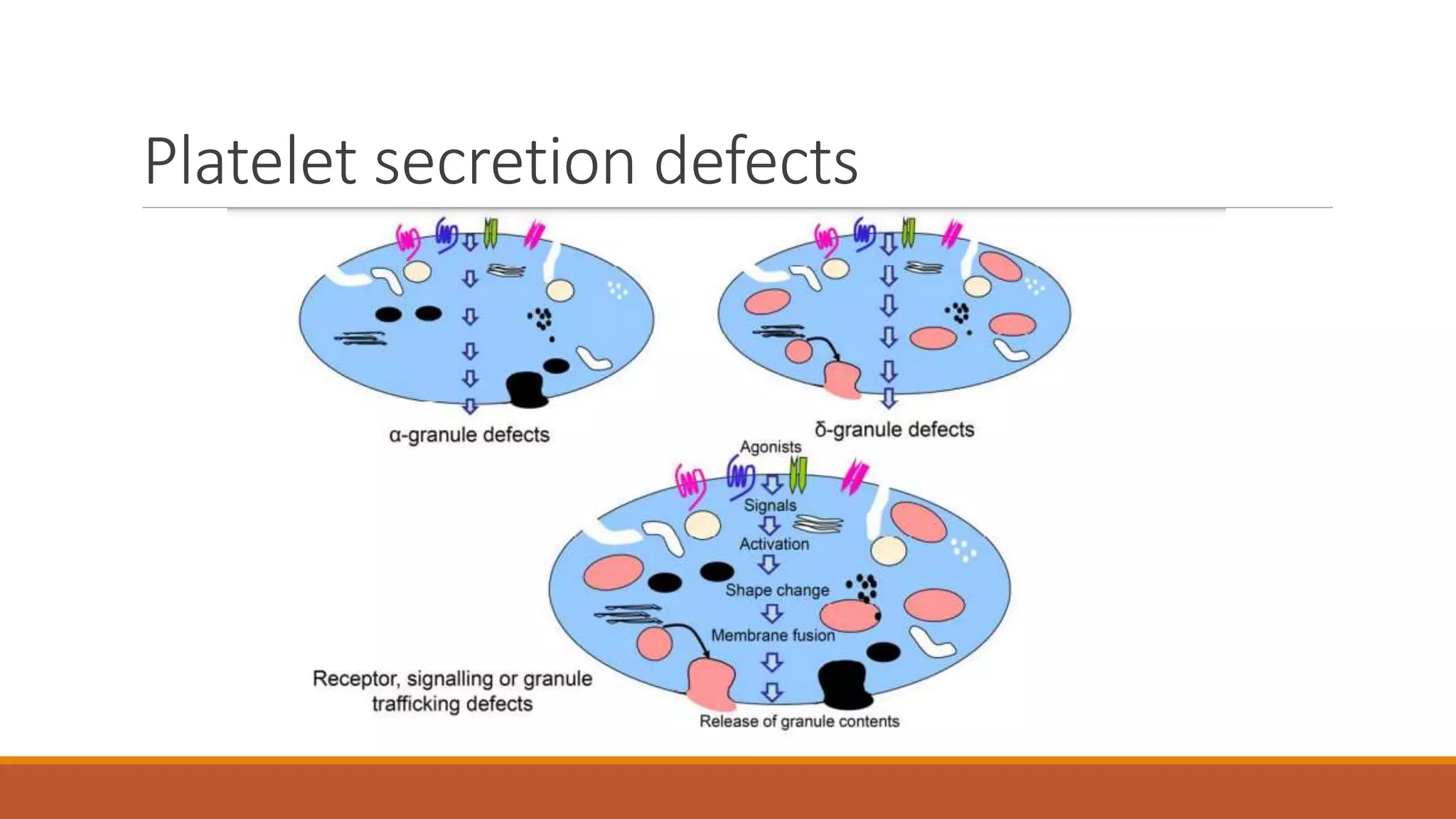 INHERITED PLATELET DISORDERS (1).pptx