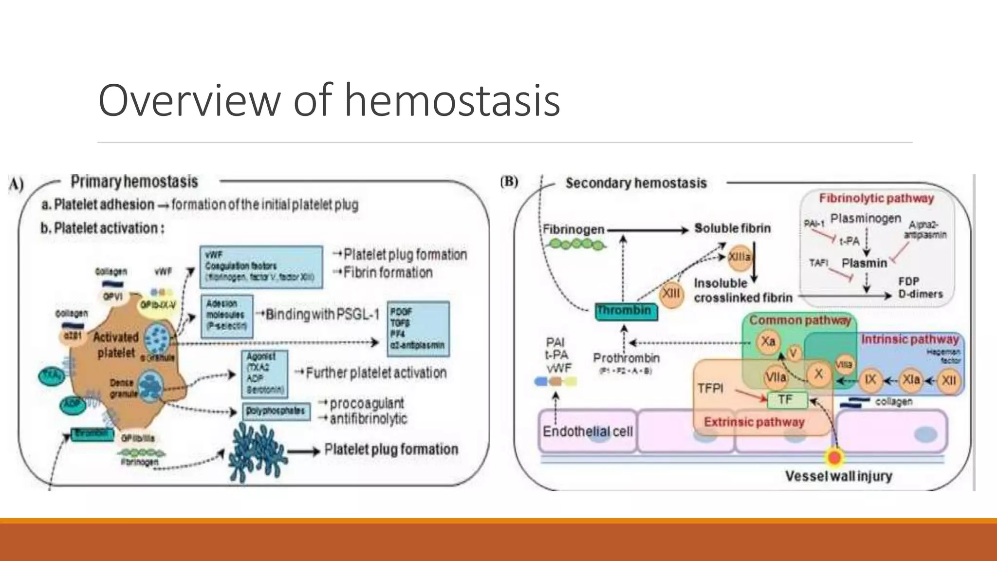 INHERITED PLATELET DISORDERS (1).pptx