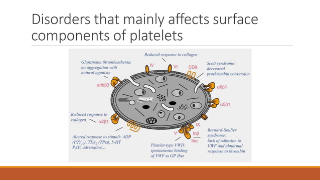 INHERITED PLATELET DISORDERS (1).pptx | Blood Disorders | Diseases and ...
