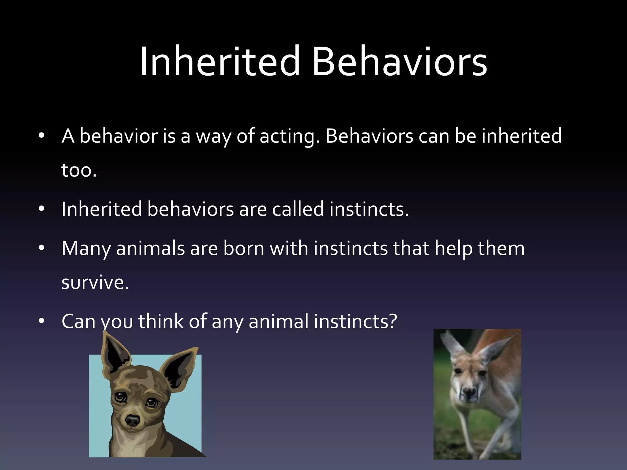 Inherited traits | PPTX
