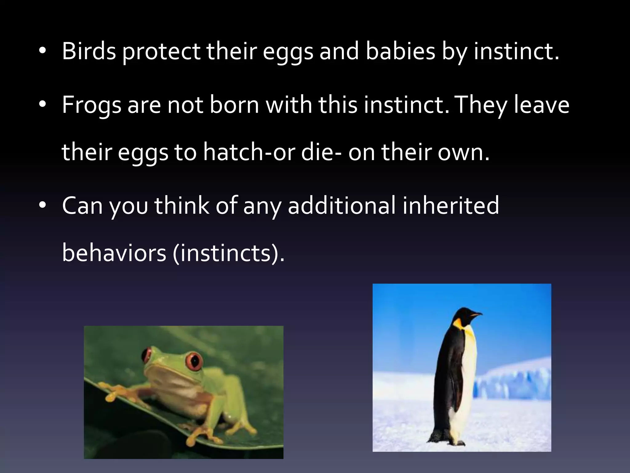 Inherited traits | PPTX