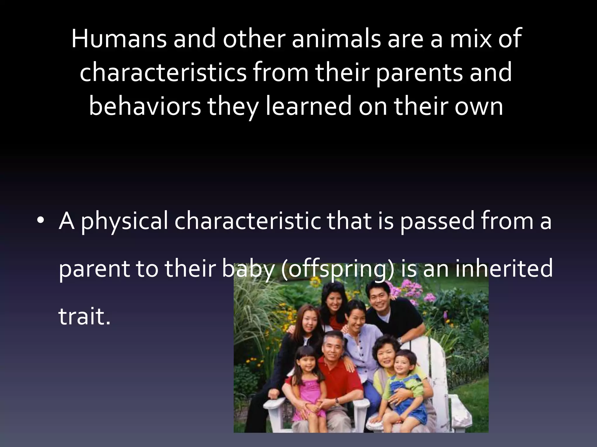 Inherited traits | PPTX