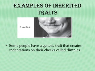 Inherited traits | PPT