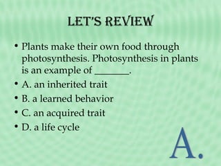 Inherited traits | PPT