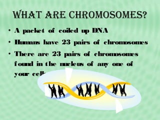 Inherited traits | PPT