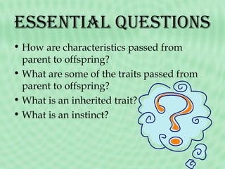 Inherited Trait For Kids