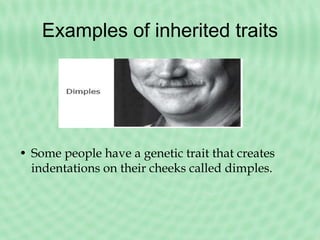 Inherited traits | PPT