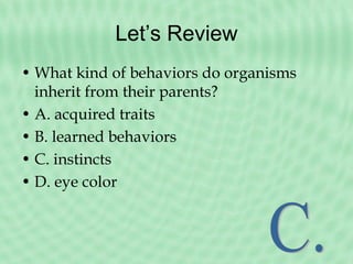 Inherited traits | PPT