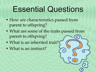 Inherited traits | PPT