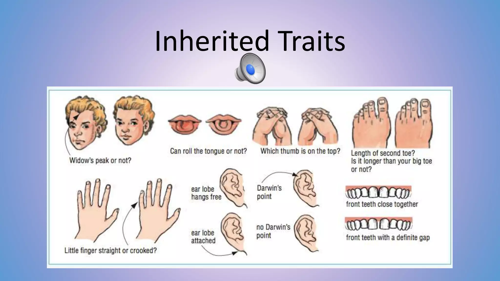 Inherited Traits/Learned Behaviors | PPTX | Genetics | Science