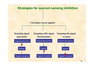 Inhibhition of quorum sensing | PDF