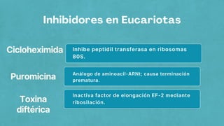 inhibicion de sintesis proteica-farmacologia.pdf