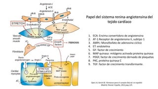 Inhibidores de la enzima convertidora de angiotensina | PDF
