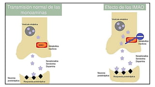 Inhibidores de la monoaminooxidasa (IMAO) | PPTX