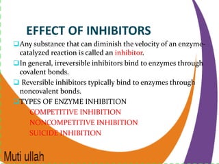 factors affecting enzyme activity | PPTX