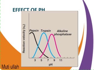 factors affecting enzyme activity | PPTX