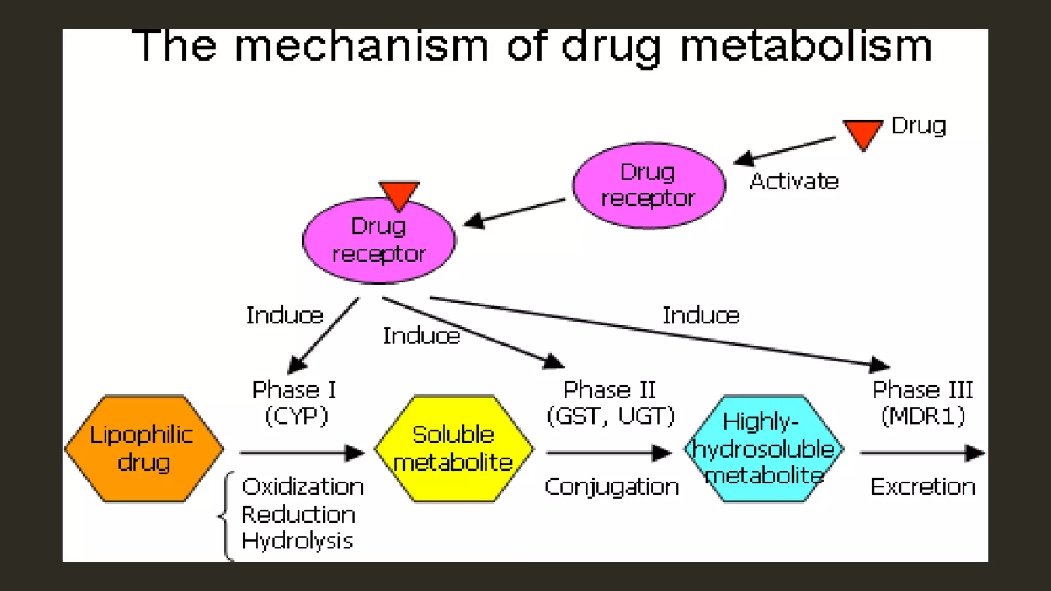 Inhibition and induction of drug metabolism | PPTX