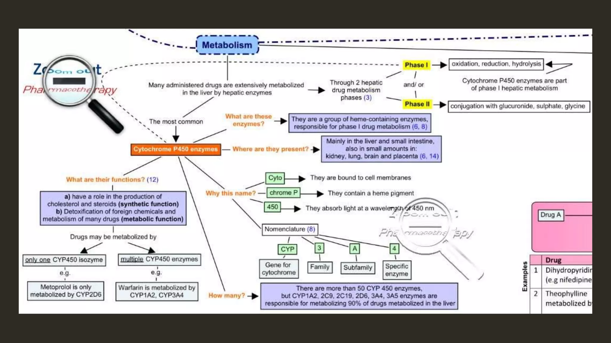 Inhibition and induction of drug metabolism | PPTX