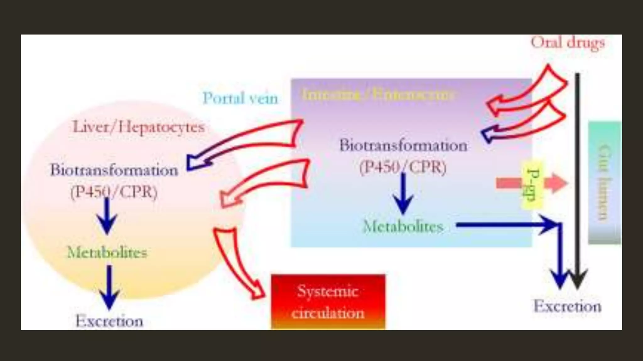 Inhibition and induction of drug metabolism | PPTX