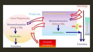 Inhibition and induction of drug metabolism | PPTX