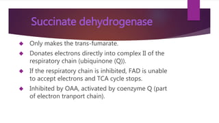 Inhibition of succinic acid dehydronase | PPTX