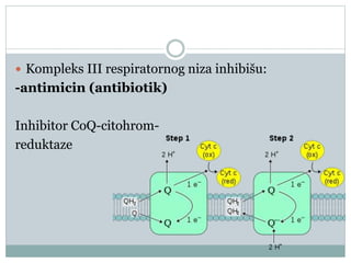 Inhibitori respiratornog lanca | PPT