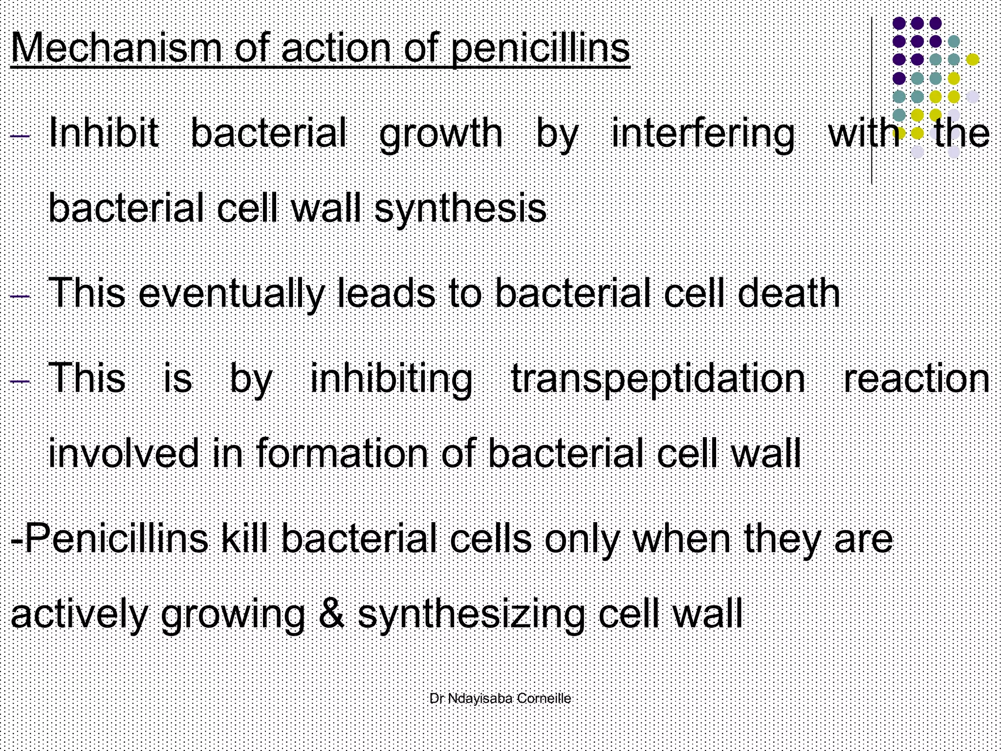 inhibitor of bacterial cell wall synthesis.ppt
