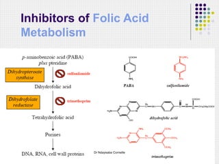 Folinic Acid