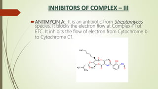 Inhibitors | PPTX
