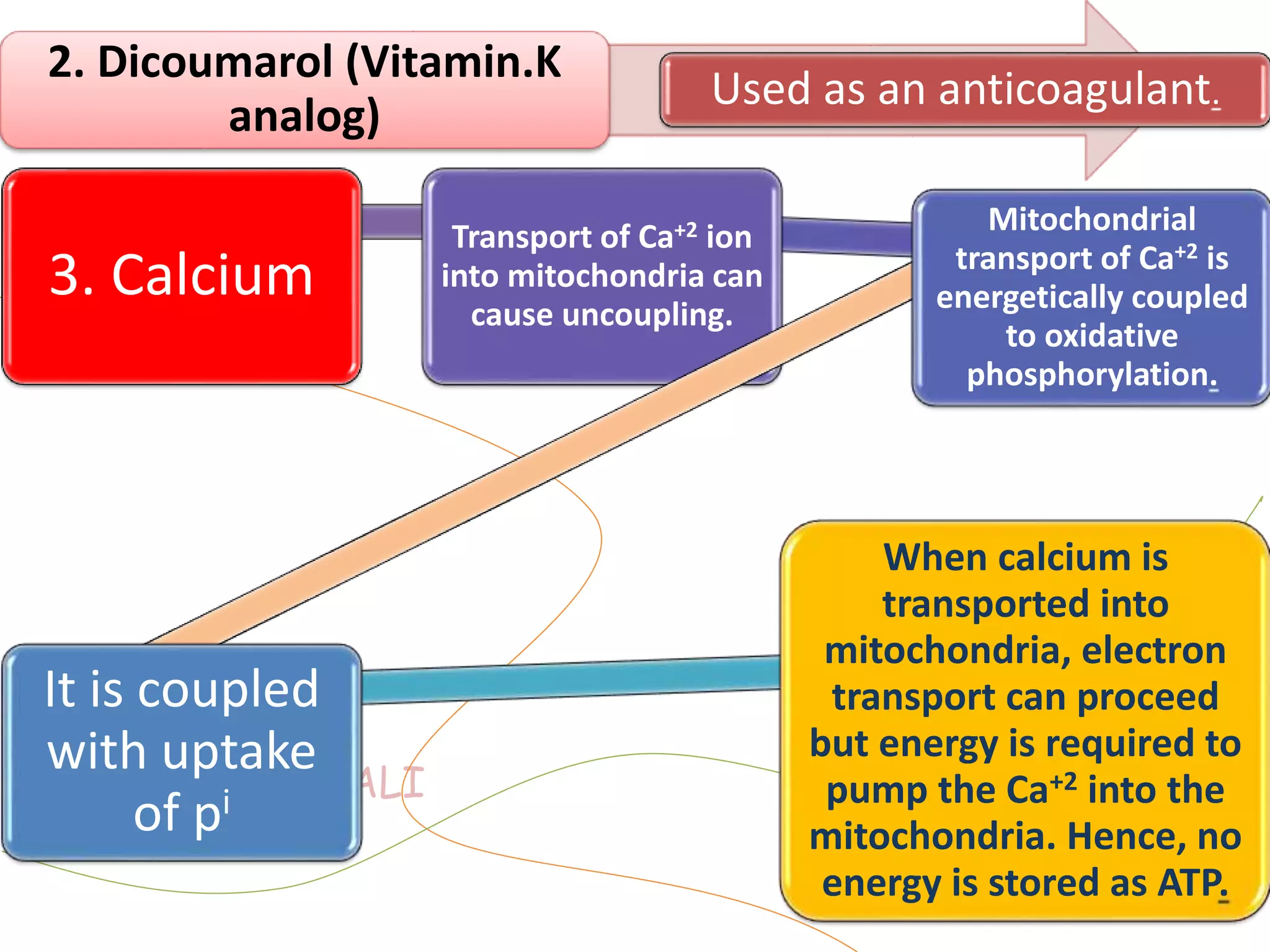 INHIBITORS AND UNCOUPLERS IN ELECTRONE TRANSPORT CHAIN | PPTX
