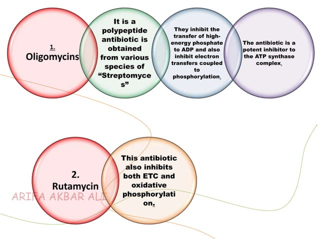 INHIBITORS AND UNCOUPLERS IN ELECTRONE TRANSPORT CHAIN | PPTX | Chemistry | Science