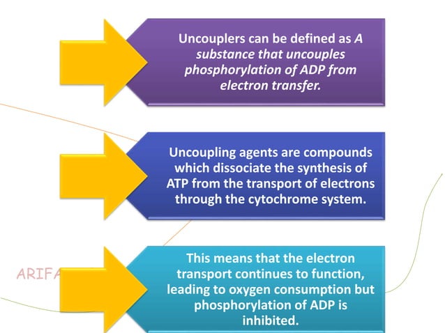INHIBITORS AND UNCOUPLERS IN ELECTRONE TRANSPORT CHAIN | PPTX | Chemistry | Science