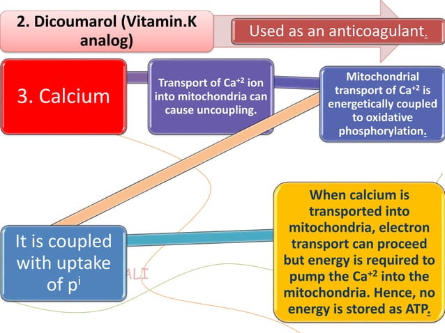 INHIBITORS AND UNCOUPLERS IN ELECTRONE TRANSPORT CHAIN | PPTX | Chemistry | Science