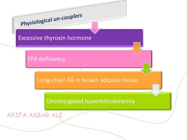 INHIBITORS AND UNCOUPLERS IN ELECTRONE TRANSPORT CHAIN | PPTX ...