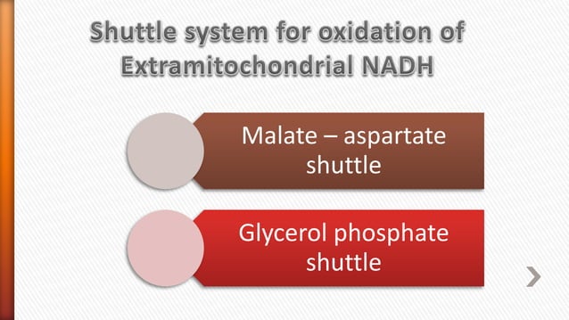 INHIBITORS OF ELECTRON TRANSPORT CHAIN AND OXIDATIVE PHOSPHORYLATION | PPTX | Chemistry | Science