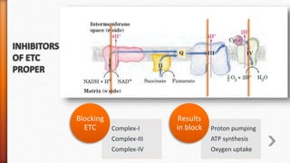 INHIBITORS OF ELECTRON TRANSPORT CHAIN AND OXIDATIVE PHOSPHORYLATION | PPTX