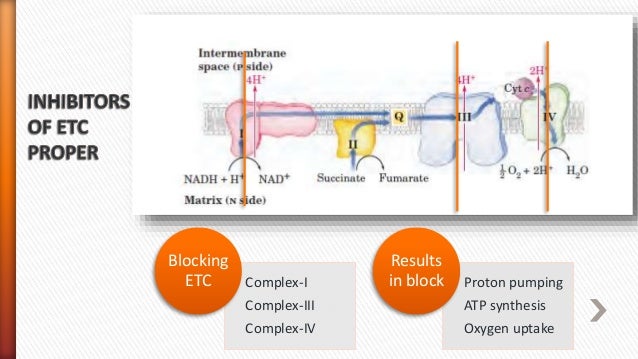 INHIBITORS OF ELECTRON TRANSPORT CHAIN AND OXIDATIVE PHOSPHORYLATION