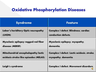 Inhibitors of oxidative phosphorylation | PPTX | Endocrine and Metabolic Diseases | Diseases and ...