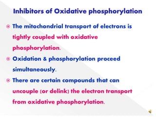 Inhibitors of oxidative phosphorylation | PPTX | Endocrine and Metabolic Diseases | Diseases and ...