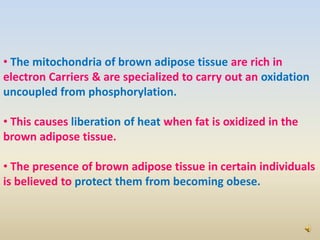 Inhibitors of oxidative phosphorylation | PPTX
