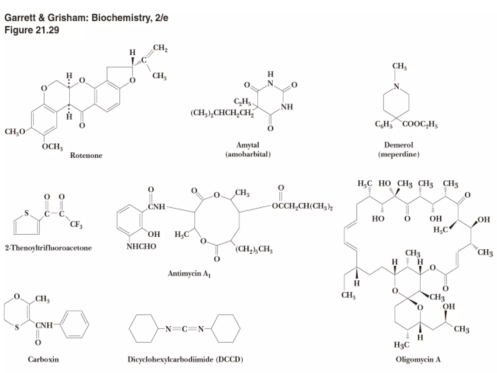 Inhibitors of oxidative phosphorylationppt | PPT | Chemistry | Science