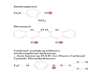 Inhibitors of oxidative phosphorylationppt | PPT | Chemistry | Science