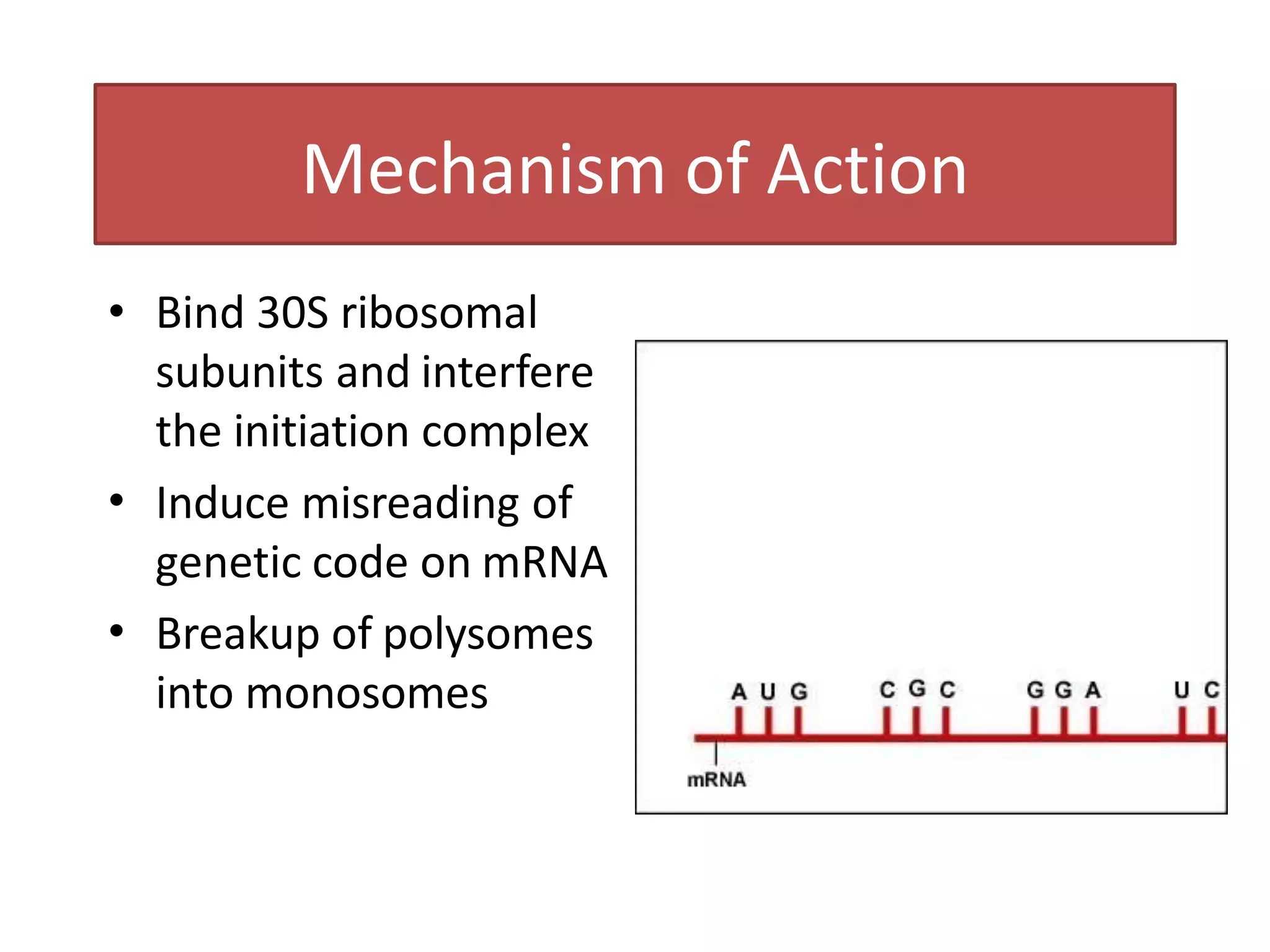 Inhibitors of protein synthesis.pptx