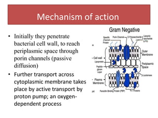 Inhibitors of protein synthesis.pptx