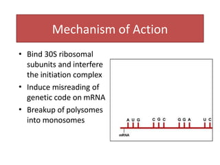 Inhibitors of protein synthesis.pptx
